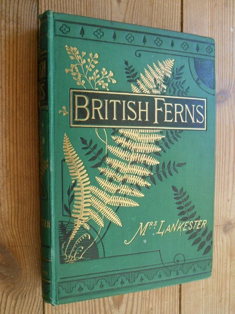 BRITISH FERNS - Classification, Structure & Functions, Mrs Lankester ...