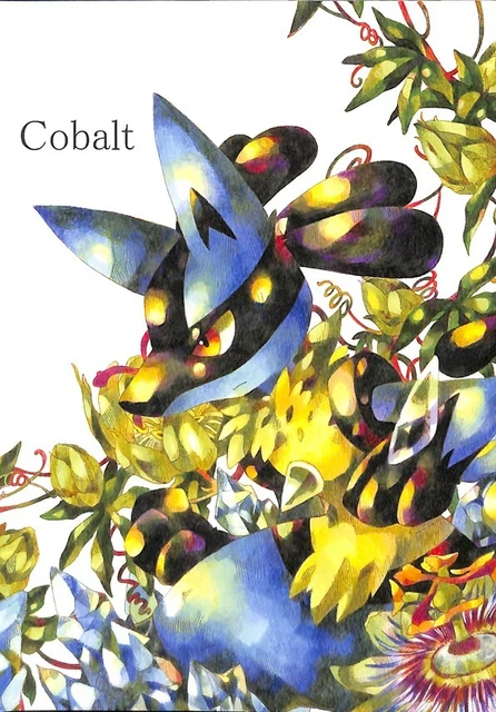 POKEMON DOUJINSHI FULL Color Illustration Book Lucario Riolu Cobalt $29 ...