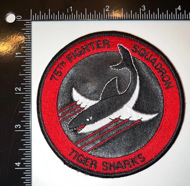 USAF US AIR Force 75th Fighter Squadron Patch EUR 19,87 - PicClick FR