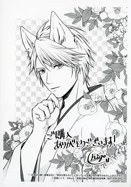 BROCHURE LIVRET THE Lone Wolf Bride - My mari said "I can't love you ...