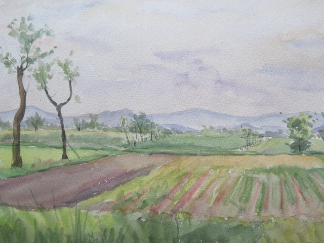 TABLEAU PEINTURE AQUARELLE Paysage Signé Emilia Romagna Vintage 31x22 CM P14 EUR 44,84 - PicClick FR