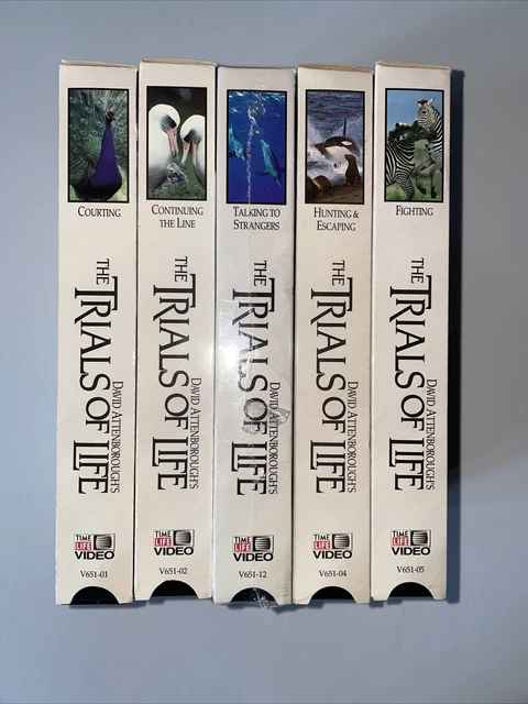 DAVID ATTENBOROUGH'S THE Trials of Life Arriving (VHS, 1991) EUR 6,62 ...