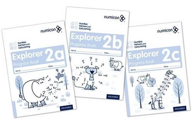 NUMICON: NUMBER, PATTERN and Calculating 2 Explorer Progress Books ABC ...