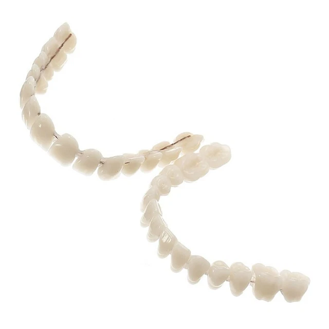 28PCS/SET RESIN TEETH Denture Manufactured Artificial Preformed ...