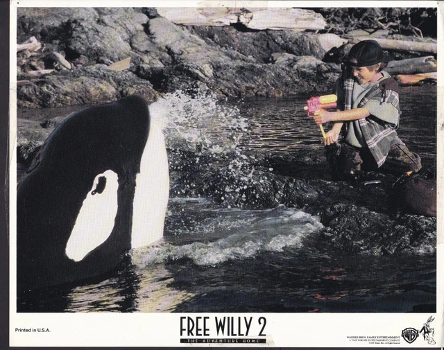 JASON JAMES RICHTER Free Willy 2 1995 original movie photo 27304 £2.00 ...