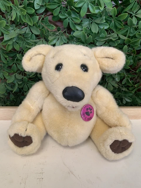 TED E BARE Bear plush soft toy David Strassman Comedian Good Condition ...