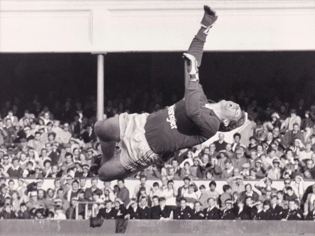 ORIGINAL PRESS PHOTO Nottingham Forest Hans van Breukelen 6.12.1983 £6. ...