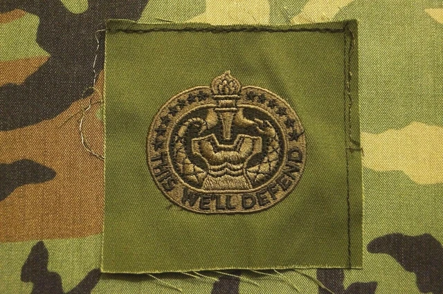 AUTHENTIC US ARMY Drill Sergeant Pocket Badge Sew On Subdued BDU ...