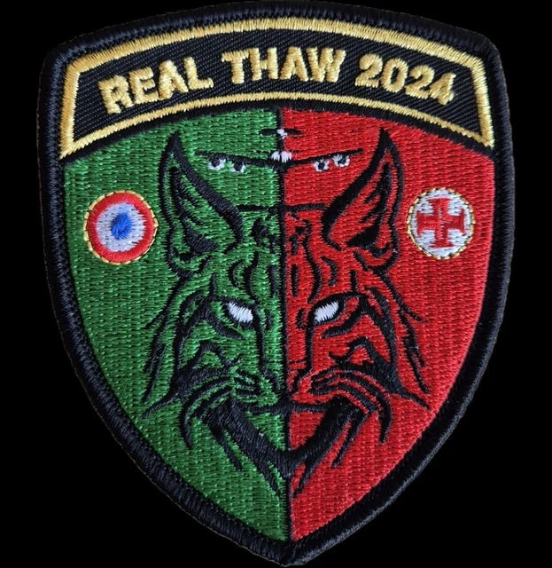 PATCH AWACS E-3F 36 edca Real Thaw 2024 EUR 10,00 - PicClick FR