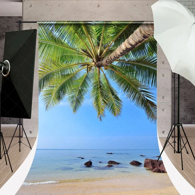 BLUE SKY SEA Beach Summer Photoshoot Sweep Backdrop $36.01 - PicClick AU