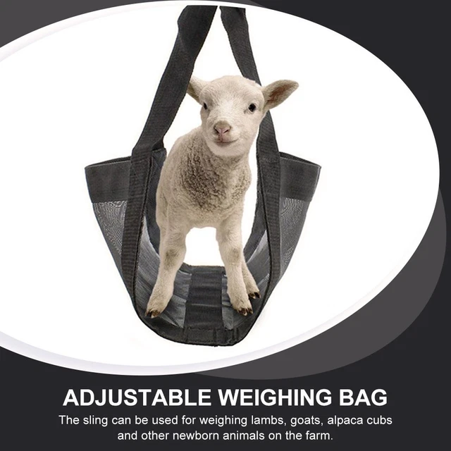 CALF HANGING WEIGHT Sling Lamb Supplies for Weighing Animals Harness ...