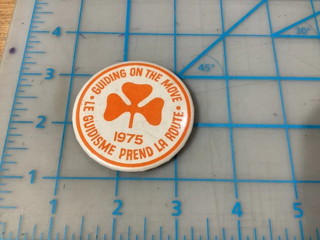 VINTAGE GUIDING ON The Move 1975 Button Pin (G) $5.92 - PicClick