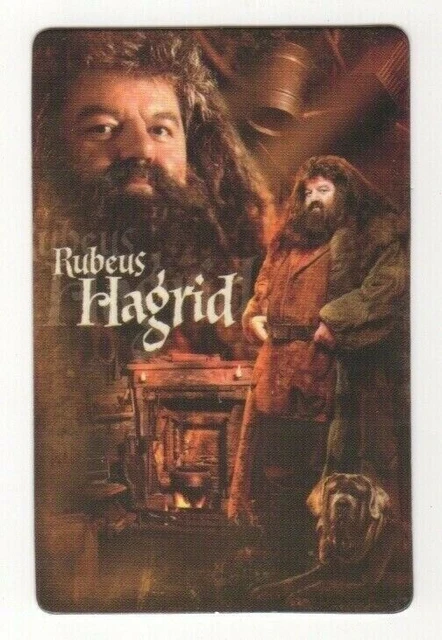 PLASTIC MOVIE CALENDAR card . Harry Potter, Chamber Secrets, Rubeus ...