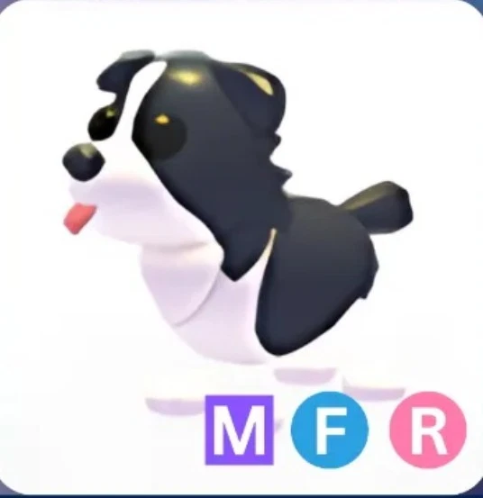BORDER COLLIE MEGA Fly Ride Adopt Me Pet Roblox EUR 89,90 - PicClick DE