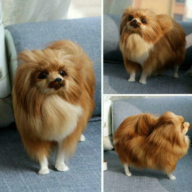 REALISTIC SIMULATION DOG Toy Plush Pomeranian Toys Gift Kids Stuffed ...