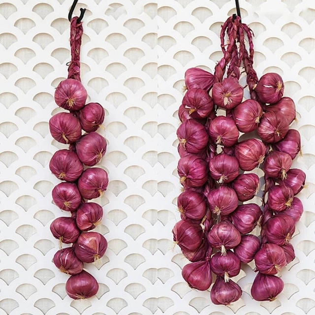 ARTIFICIAL GARLIC STRING Vegetable Realistic Model Photography Props ...