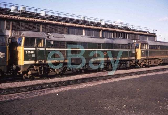 35MM RAILWAY SLIDE of Class 31 D5576 @ Stratford TMD Copyright to Buyer ...