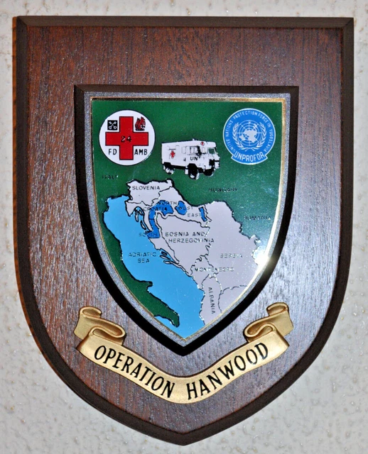 24 FIELD AMBULANCE RAMC Operation Hanwood mess wall plaque shield £30. ...