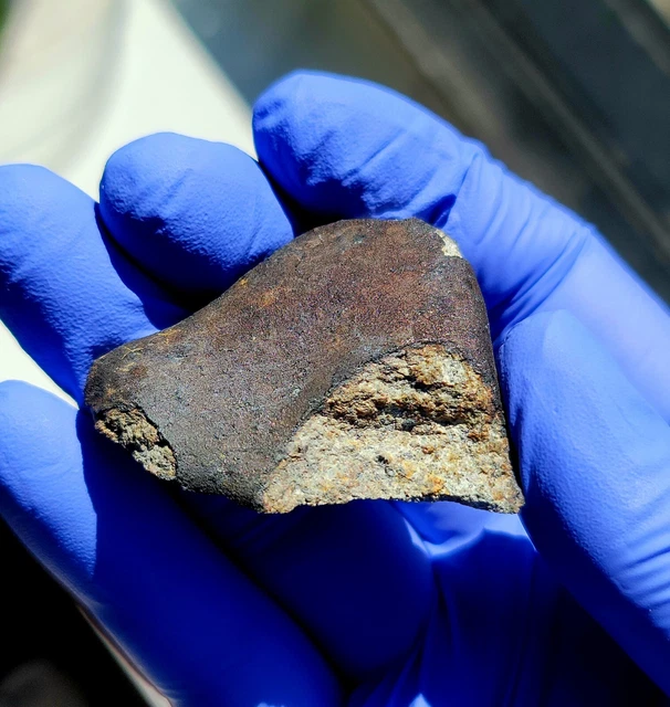 METEORITE**GEORGIA, JUNCTION CITY**37,351 grammi taglio finale fresco ...