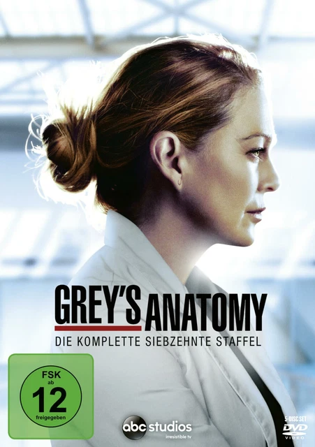 GREY'S ANATOMY - The Complete Seventeenth Season DVD - (DVD) £13.41 ...