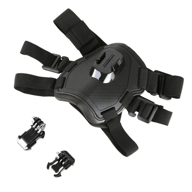 DOG HARNESS WITH Camera Mount for Capturing Memorable Moments Outdoors ...