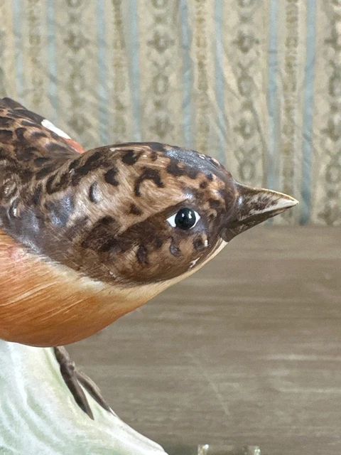 ANTIQUE PORCELAIN GERMAN Birds Bird Collection Chaffinch Branch Goebel ...