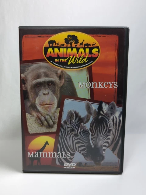 DVD ANIMALS IN The Wild Monkey And Mammals EUR 5,28 - PicClick FR