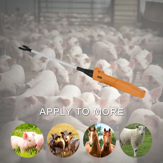 LIVESTOCK PROD ÉLECTRIQUE Cattle Prod Rechargeable Sécurité Animal Avec ...