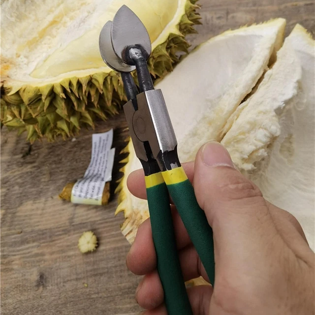 FRUIT DURIAN SHELL Opener Clip Durian Opener for Grocery £9.60 ...