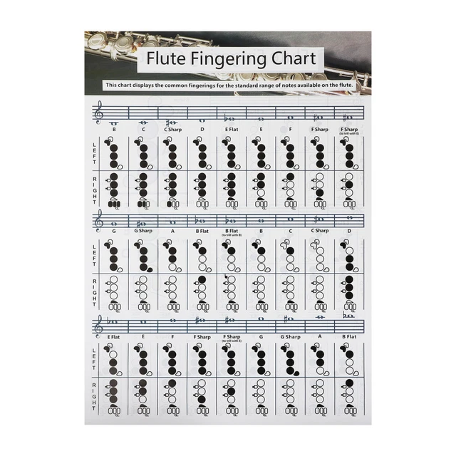 USEFUL FLUTE NOTE Chart Chord Principles Technique £15.79 - PicClick UK