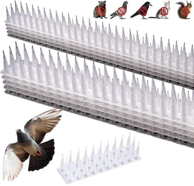 20M BIRD SPIKES Human Cat Possum Mouse Pest Control Spiked Fence Wall ...