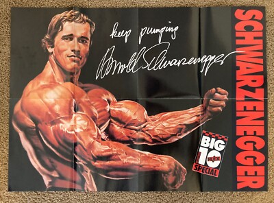 ARNOLD SCHWARZENEGGER / Cory Everson Bodybuilding Muscle Fitness Poster ...