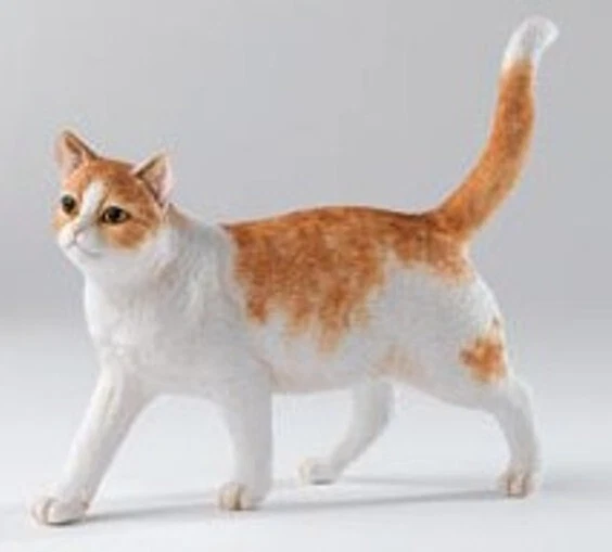 COUNTRY ARTISTS GINGER & White Cat Standing Model No CA01555 £24.99 ...