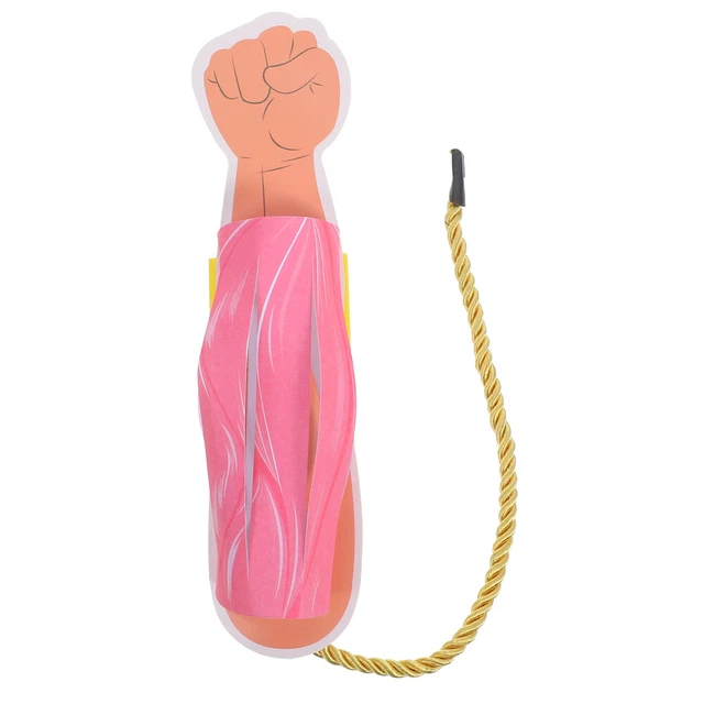 MUSCLE MODEL PUPILS Man Awareness Educational Toy Human Arm Anatomical ...