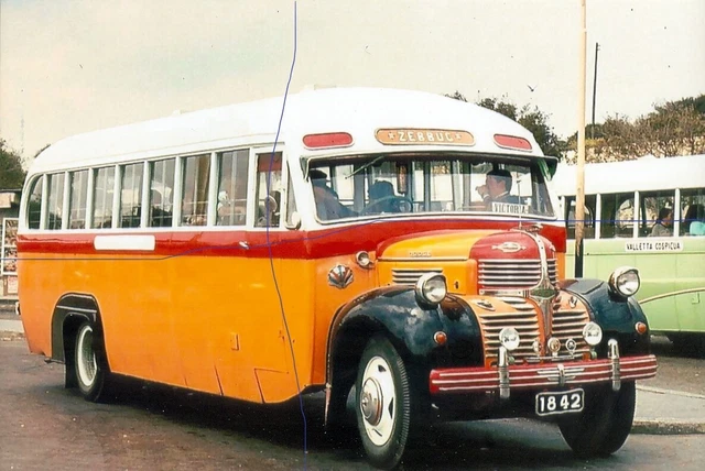 BUS PHOTO OF A Maltabus Photograph Of A Vintage Dodge Picture 1842 In ...