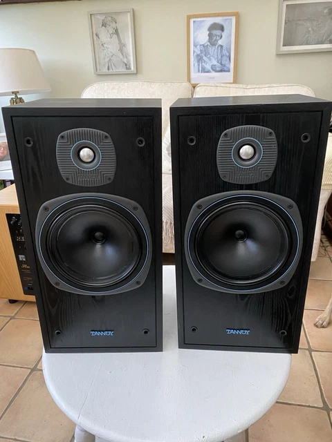 TANNOY M-20 (BLUE). 2-way Reflex Loudspeakers. £135.00 - PicClick UK