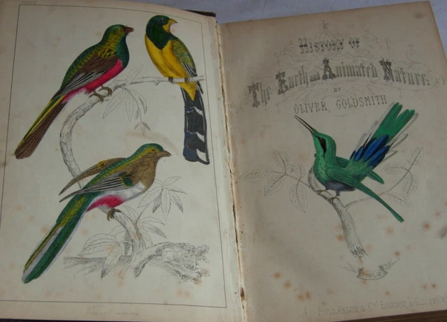 A HISTORY OF the Earth and Animated Nature by Oliver Goldsmith Vol II ...