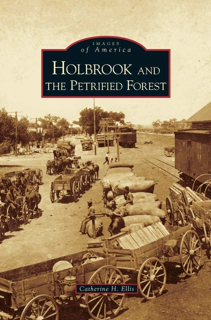 CATHERINE H ELLIS Holbrook and the Petrified Forest (Relié) EUR 32,13 ...