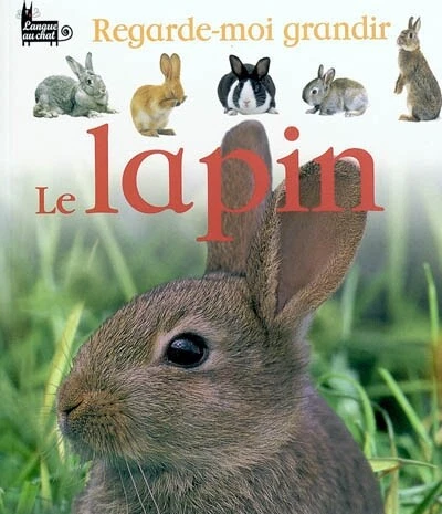 LE LAPIN DE Lisa Magloff EUR 3,00 - PicClick FR