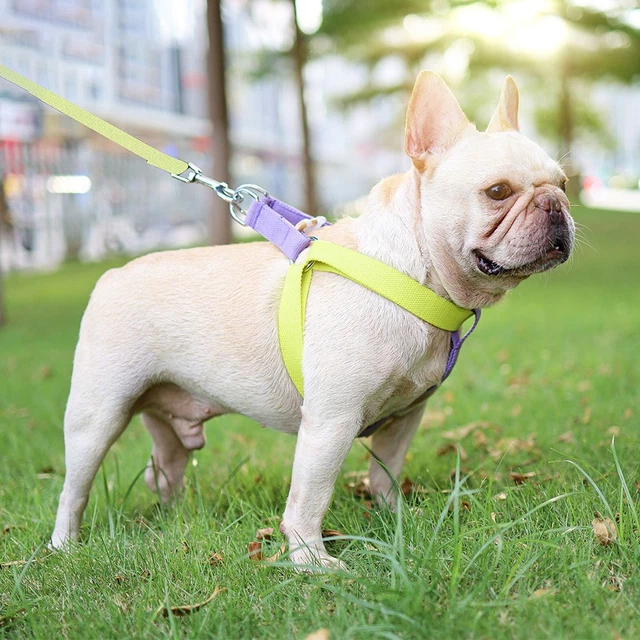 POLYESTER COTTON DOG Adjustable Vest Pet Chest Strap For Outdoors $24. ...