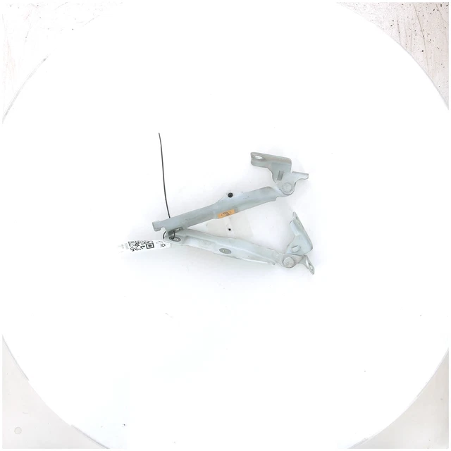 CHARNIÈRES DE CAPOT - Citroen C3 II PH.2 - 00007912F7 - U0-8179J EUR 48 ...