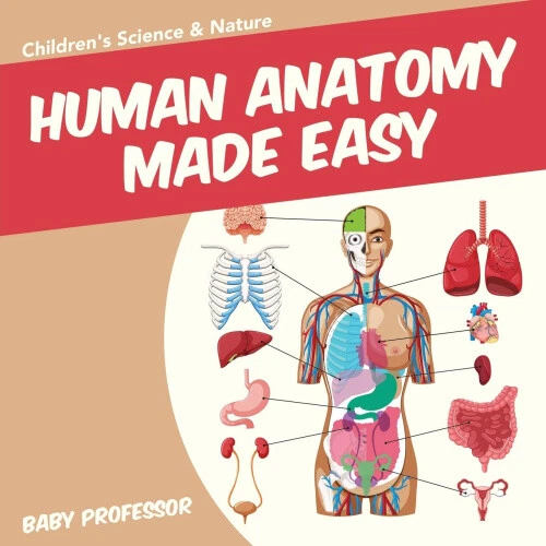 HUMAN ANATOMY MADE Easy - Children's Science & Nature by Baby Professor ...