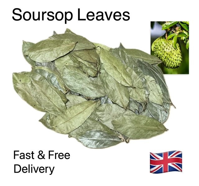 SOURSOP LEAVES OR Powder Graviola AAA Grade Wild No Chemicals/Pesticide ...