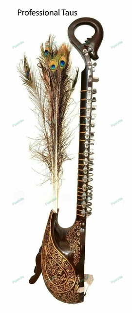 MUSICAL INSTRUMENT TAUS Professional Quality Mayuri Veena Peacock ...