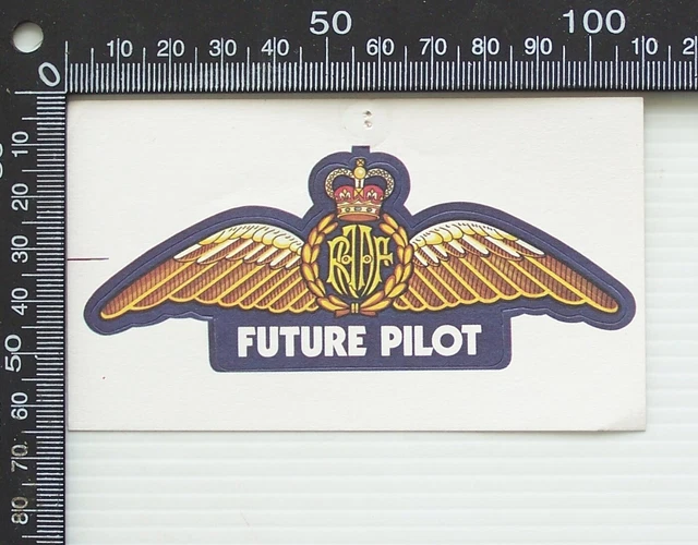 VINTAGE RAAF FUTURE Pilot Royal Australian Air Force Raaf Logo Promo ...