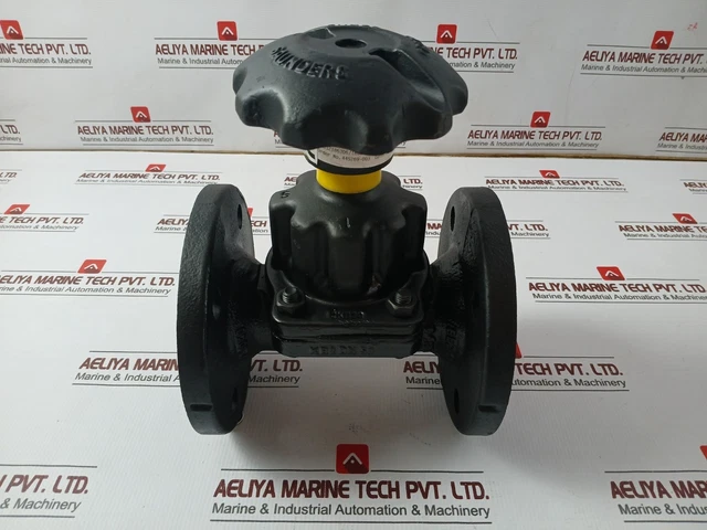 SAUNDERS CPFTI DIAPHRAGM Valve PN10 10 Bar 445269-003 $2,722.49 ...