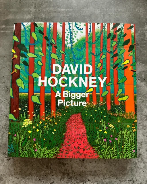 DAVID HOCKNEY: A Bigger Picture by David Hockney (Paperback, 2012) £39. ...