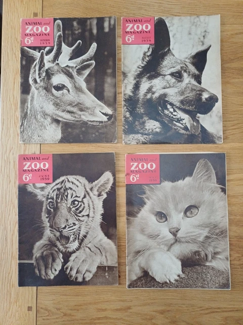 ANIMAL AND ZOO Magazine X 11 £5.45 - PicClick UK