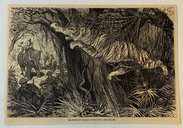GRAVURE DE MAGAZINE De 1880 ~ EMPIRE D'ANNAM, Une Chasse Au Tigre EUR 9 ...