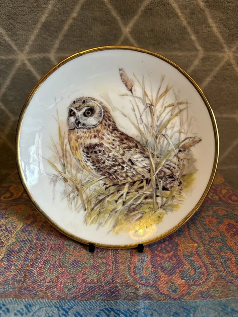 STOKE - AJL Pottery - Collectors Plate, Short-Eared Owl Mint Condition ...